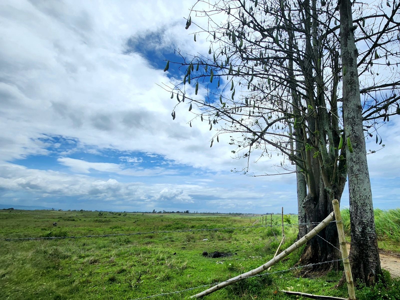 Negros PH Solar PV - NexifRatch